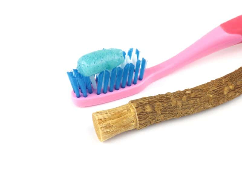 When Did People Start Brushing Their Teeth? An Overview Of Dentistry ...